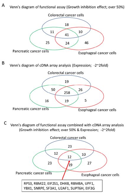 venn diagram of the results of a functional analysis and cdna