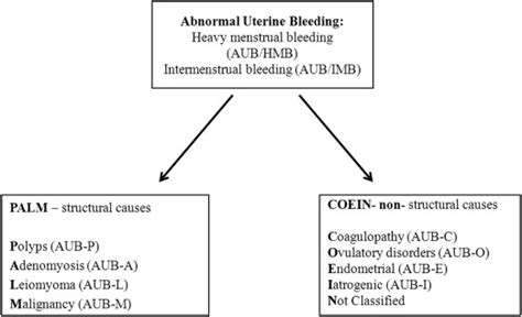 The Medical Management Of Abnormal Uterine Bleeding In Reproductive