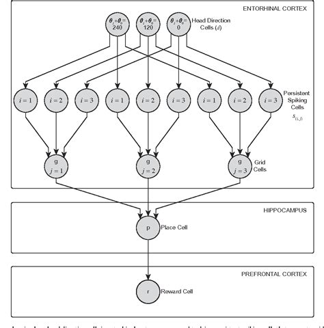 Figure 1 From A Hierarchical Model Of Goal Directed Navigation Selects Trajectories In A Visual