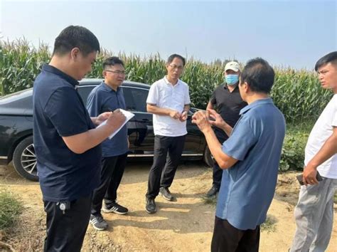 蠡县科技特派员助力特色农业产业发展 澎湃号政务 澎湃新闻 The Paper