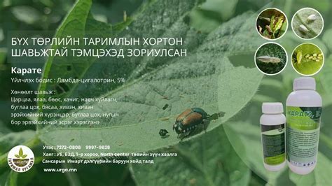 Бүх төрлийн таримлын хортон шавьжтай ТАРИМАЛ УРГАМАЛ ХХК