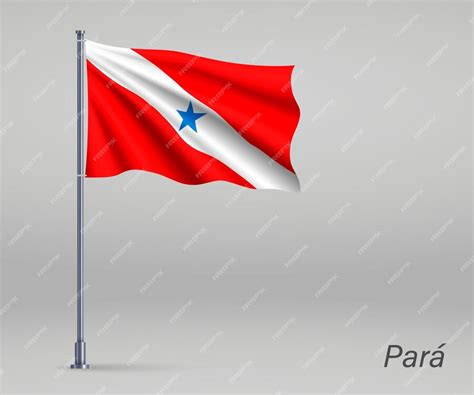 Premium Vector Waving Flag Of Para State Of Brazil On Flagpole