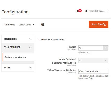 Magento 2 Customer Attributes The A Z Guide For Dummies At Thailand