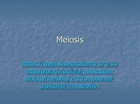 Ppt Meiosis Powerpoint Presentation Free Download Id9636685