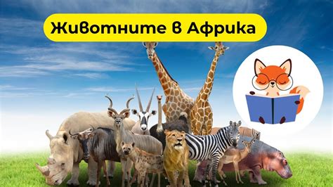 Дивите животни на Африка Забавно образователно видео за най малките Youtube