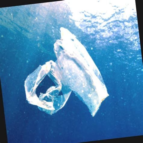 Plastic Detection In Ocean Object Detection Model By Workspace