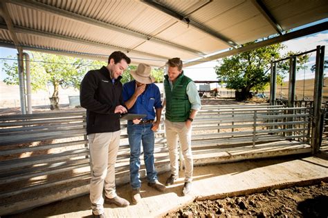 Part 1 Value Impact And Expectation