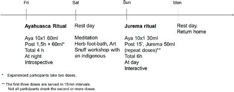 Timeline Schematic Diagram Of The Study Download Scientific Diagram
