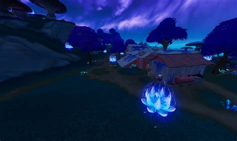 Fortnite How To Plant A Reality Seed At Sunflowers Saplings Or Fungi