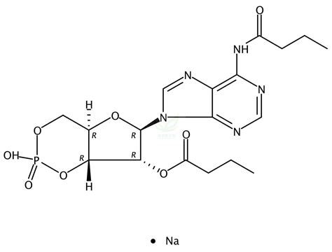 布拉地新钠盐 二丁酰环磷腺甙 Bucladesine sodium salt 16980 89 5 四川省维克奇生物科技有限公司