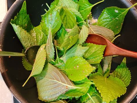 밥도둑 깻잎요리 깻잎된장찜 된장깻잎조림 된장깻잎찜 만드는 법