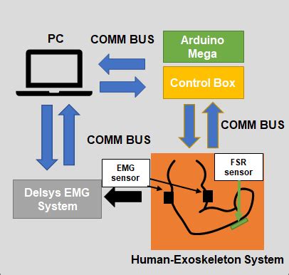Interface Schematic Download Scientific Diagram