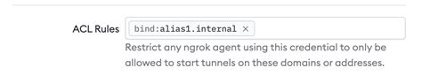 Best Security Practices For Developer Productivity Ngrok Documentation