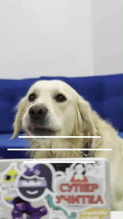 Telerik Academy On Linkedin Още не си завършил кандидатурата си за