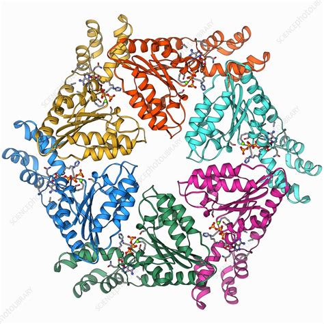Atpase Molecule Stock Image F0069441 Science Photo Library