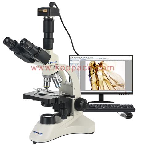 Koppace 300x 7600x三目生物实验室显微镜 平场消色差物镜 500万像素usb相机