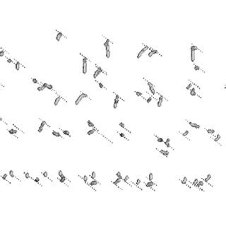 Particle Movements In Sample Download Scientific Diagram