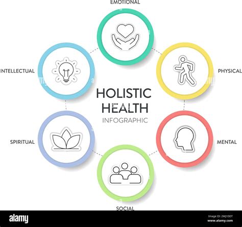 Holistic Health Framework Infographic Diagram Chart Illustration Banner Template With Icon Set