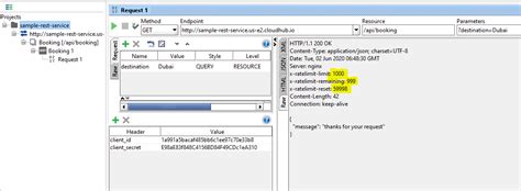 Rate Limiting Sla Based Mulesoft Api Manager Policy