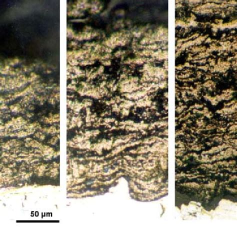 Effects Of Grit Blasting Pressure On The Surface Roughness Download Scientific Diagram