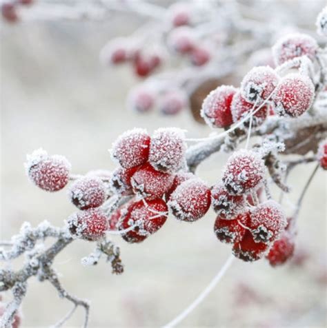 Дневен хороскоп за 21 януари: Телец, Дева, Козирог ще имате шансове ...