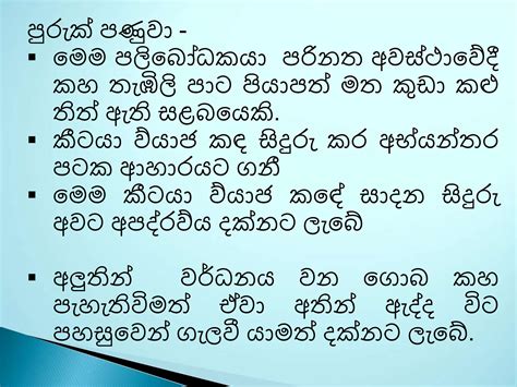 Turmeric Sinhala Cultivation In Sri Lanka 1 Ppt