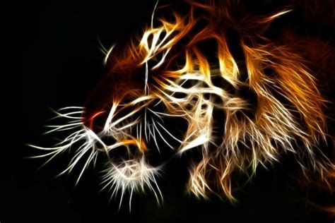 Saber Tooth Tiger Wallpaper ·① Wallpapertag