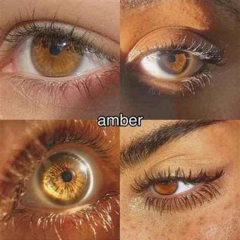 Eyes 👀 In 2024 Brown Eyes Aesthetic Pretty Eyes Color Amber Eyes Color
