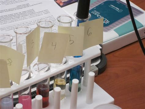 chemistry reflection household acids and bases lab