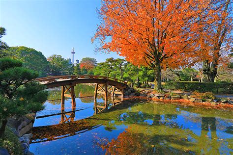 渉成園 紅葉
