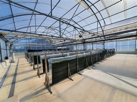 Our Industrial Microalgae Species Production Process Allmicroalgae