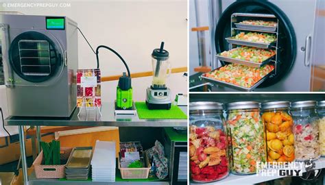 11 Things I Wish I Knew Before Buying A Harvest Right Freeze Dryer