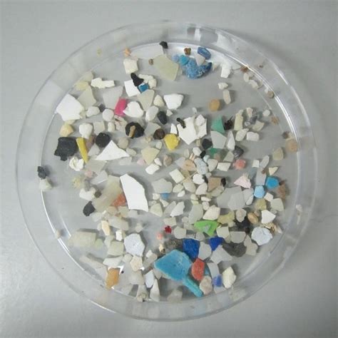 Pdf Automatic Counting And Classification Of Microplastic Particles