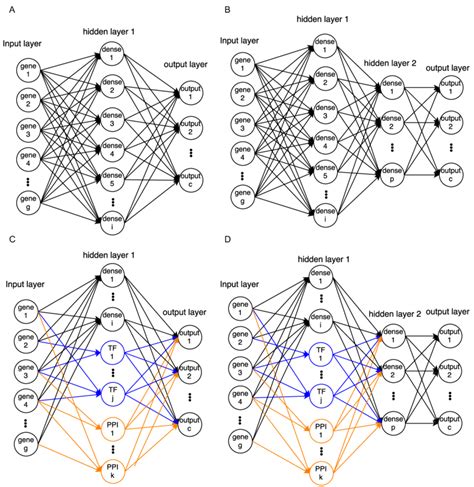 Network Architectures Of Nn Models Used In This Paper A