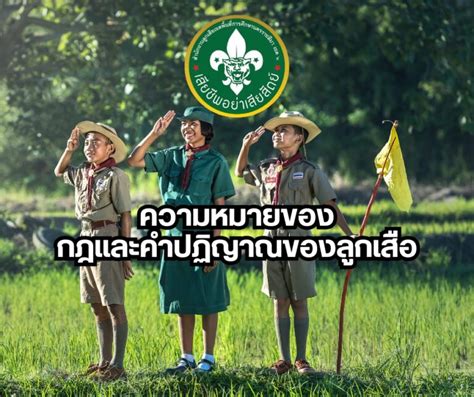 Scout Nma6 แค่เว็บลูกเสือที่ขับเคลื่อนโดย Wp เว็บหนึ่ง