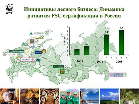 Illegal Logging1 Ppt