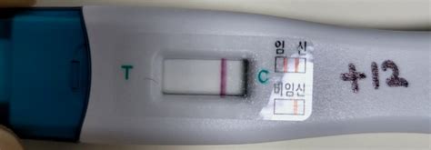 임신시도 열세번째 배란 10일차 단호박 배란 11일차 매직아이 배란 12일차 두줄😍 네이버 블로그