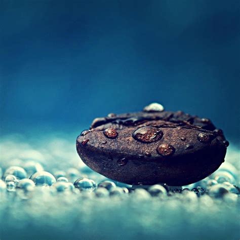 Daniel Gombos Youtube