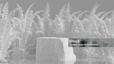 향수 선물 및 화장품을 전시하기위한 우아한 연단 식물과 흰색 톤으로 돌을 분할 복사 공간 3d 렌더링 대리석에 대한 스톡 사진 및 기타 이미지 Istock