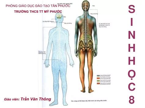 Ppt Sinh H C Powerpoint Presentation Free Download Id