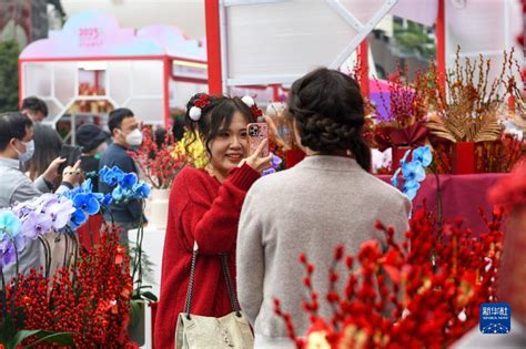 年宵花市场又一春，娇俏贺岁福气满满 搜狐大视野 搜狐新闻