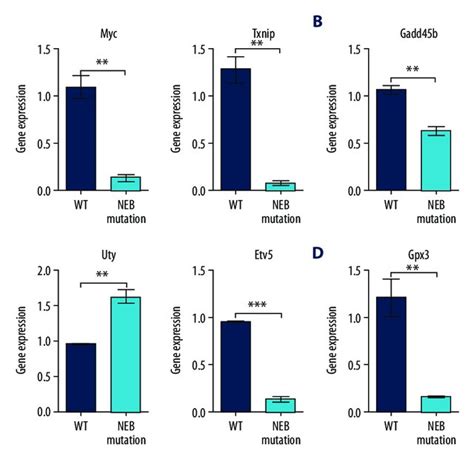 The Quantitative Real Time Polymerase Chain Reaction Qrt Pcr Download Scientific Diagram