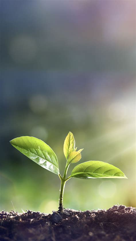 Best College For Diet And Nutrition Courses In Mumbai India Lsi