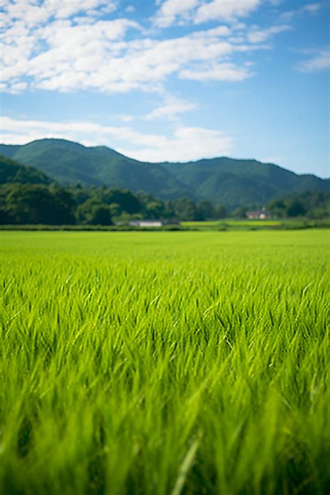 Green Photo Background And Picture For Free Download Pngtree