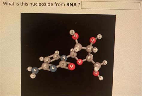 Solved 1 What Is This Nucleoside From Rna2 What Is This