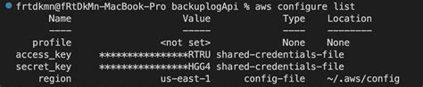 Amazon Web Services Error You Must Specify A Region When Running Any Aws Cli Command Stack