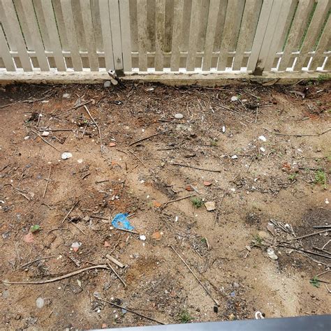 Namgrass Green Nature Installed At Namgrass Singapore Facebook