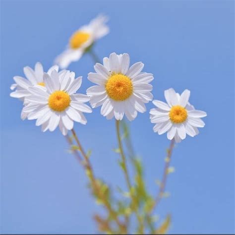 И это тоже пройдет Once More Happy • Threads Say More