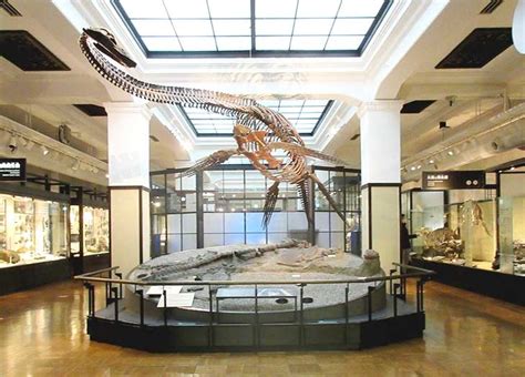 貴重なミイラが見られる！上野公園内にある「国立科学博物館」の見どころを徹底調査！②【日本館】 いろはめぐり