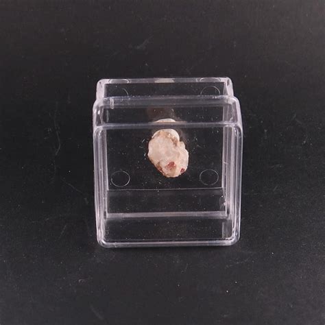 Plastic Display Boxes Mineral Display Boxes Uk Shop